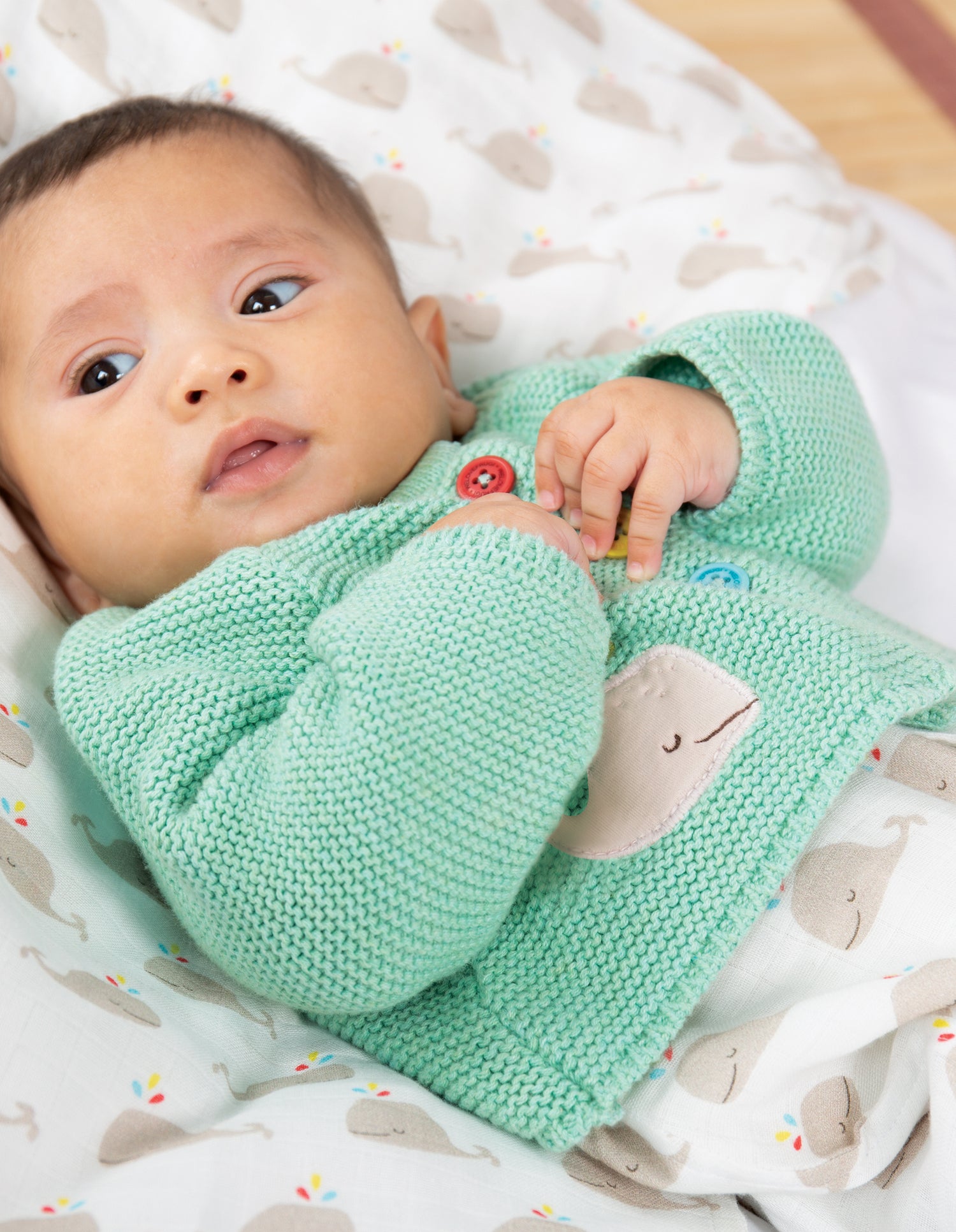 Baby – Whippersnappers Online